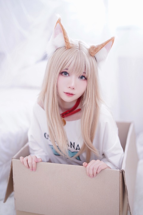 Kinako Cat Senyukis Ko Fi Shop Ko Fi ️ Where Creators Get Support